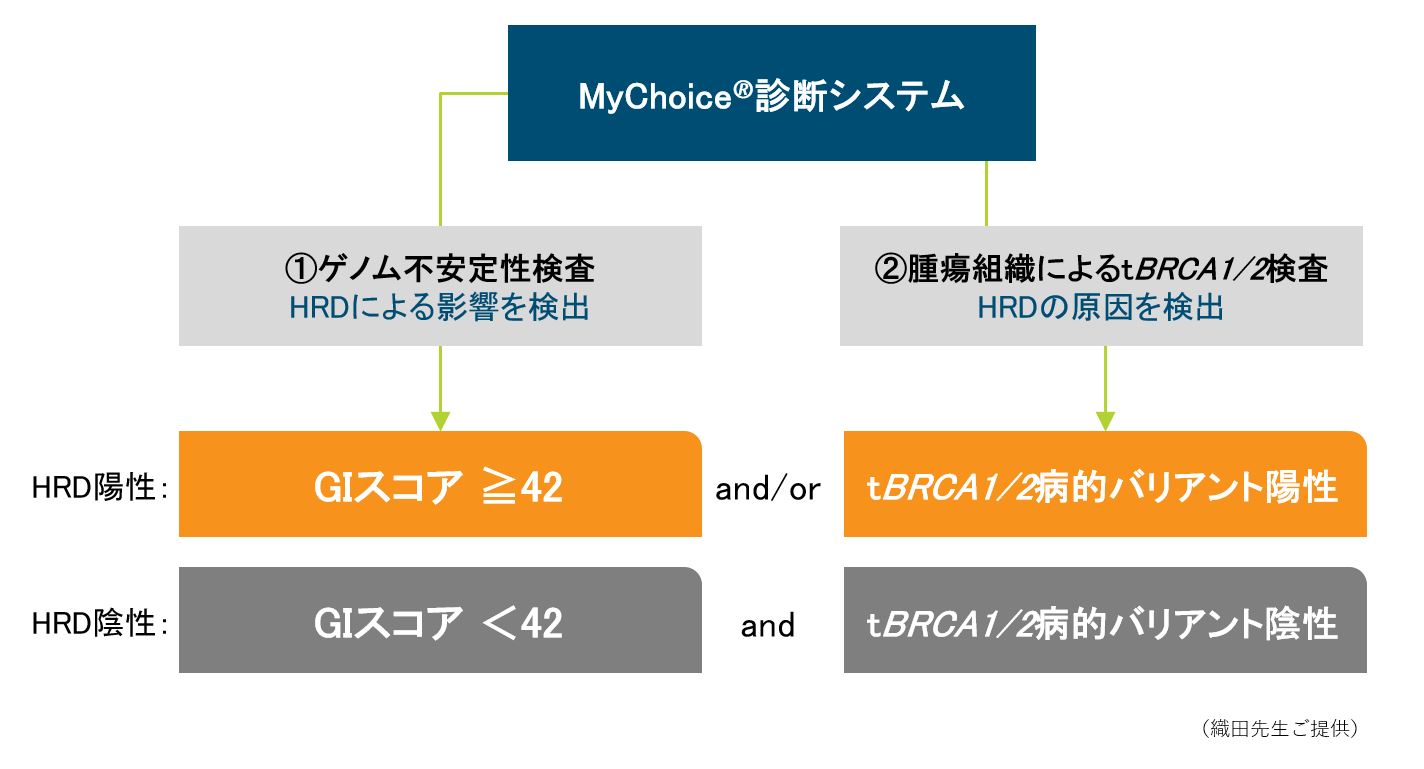 tBRCA1/2 (腫瘍組織) およびHRD (相同組換修復欠損) 検査に基づくHBOC診療 ~遺伝カウンセリングにおける留意点 ...